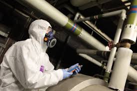 What To Understand About the Process Of Asbestos Surveys - Blue A ...