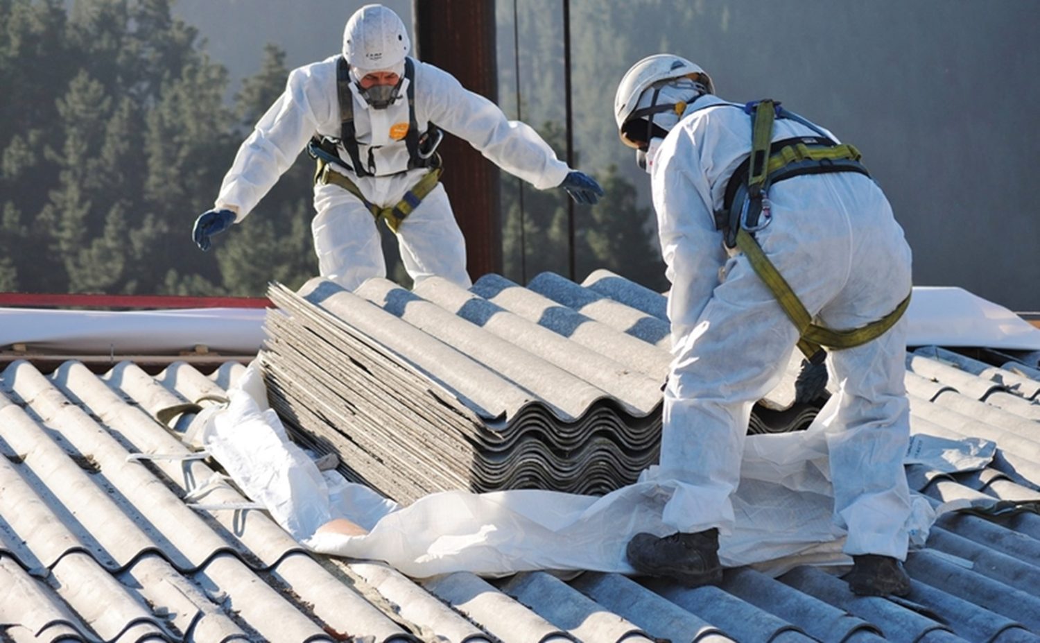 Reasons To Hire Trained Professionals For Asbestos Removal?
