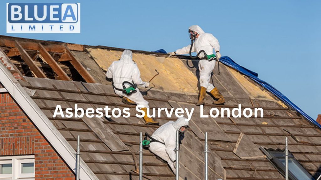 Asbestos Survey London Archives - Blue A - Asbestos Survey and Asbestos ...